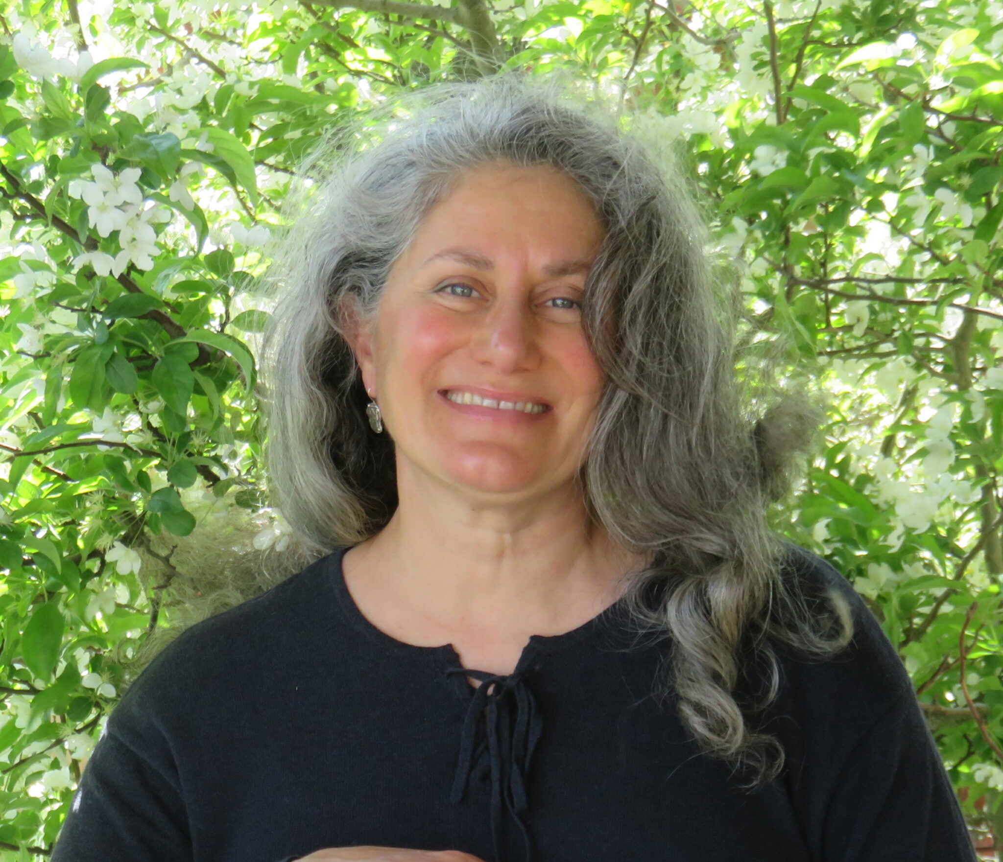 The Way of the Wild Goose: a Conversation with Beebe Bahrami - The Baca ...